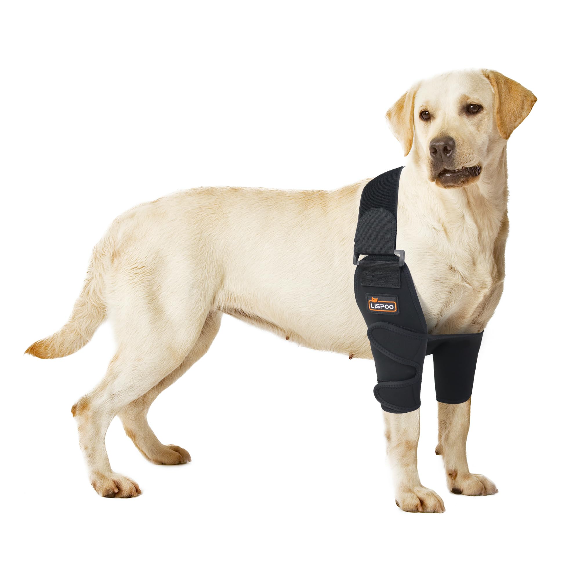 KERBIY LISPOO Dog Elbow Brace Protector Pads Provides Elbow Support and ...