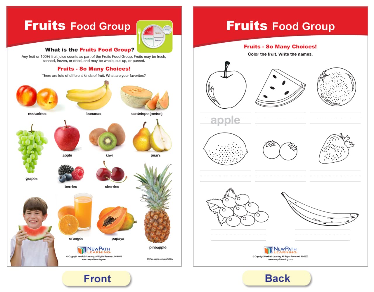 Mua NewPath MyPlate - Food & Nutrition Bulletin Board Charts, Gr 1-4 ...