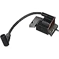 Amazon.com : Briggs and Stratton 593872 Ignition Coil Lawn Mower ...