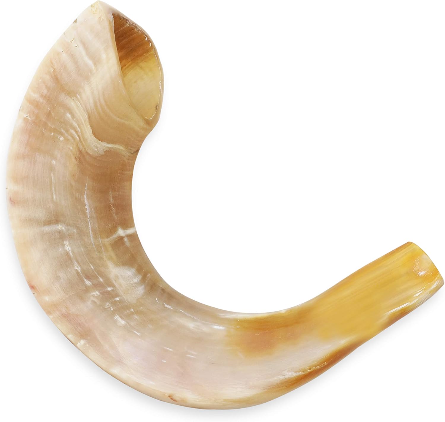 Amazon.com: Original Ram Horn Shofar Natural Colors (17,3¨-19,6 ...