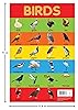 Birds Chart - Early Learning Educational Chart For Kids: Perfect For ...