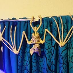 Amazon.com: Crazy Bonez Skeleton - Bat Bonez: Toys & Games