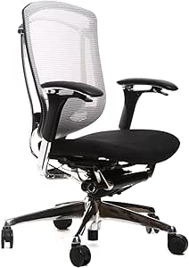 Amazon.com: New Open Box Teknion Nuova Contessa with Hardwood Casters ...