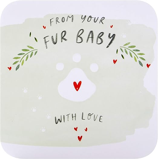 From Your Fur Baby Birthday Card from Hallmark - Embossed Paw Print ...
