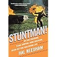 Stuntman!: My Car-Crashing, Plane-Jumping, Bone-Breaking, Death-Defying ...