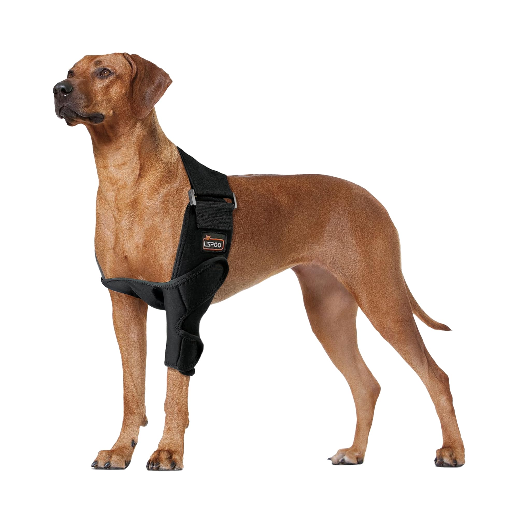 LISPOO Dog Elbow Dysplasia Support Brace Protector Pads Support for ...