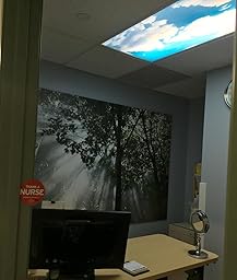 Amazon.com: Cumulus II Skypanels; Fluorescent Light Diffuser ...