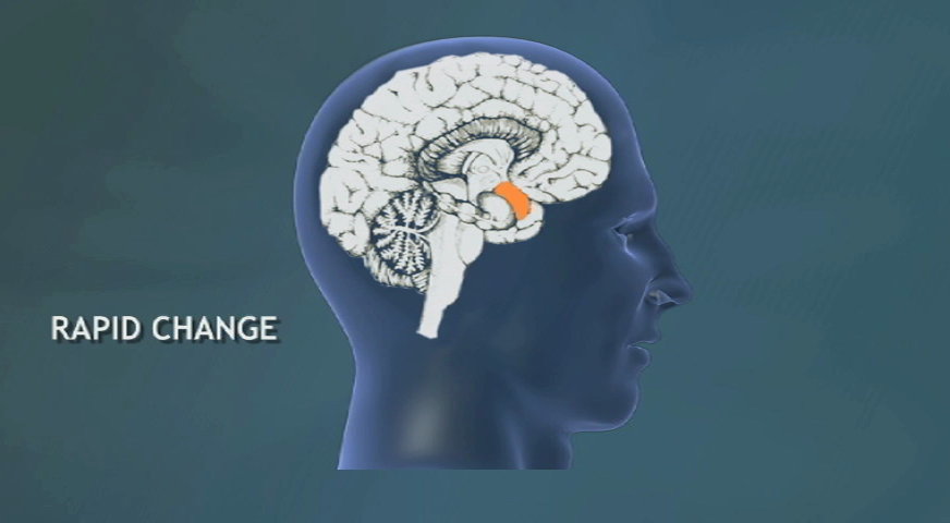 Watch How Brain Chemistry Affects Behavior Change on Amazon Live