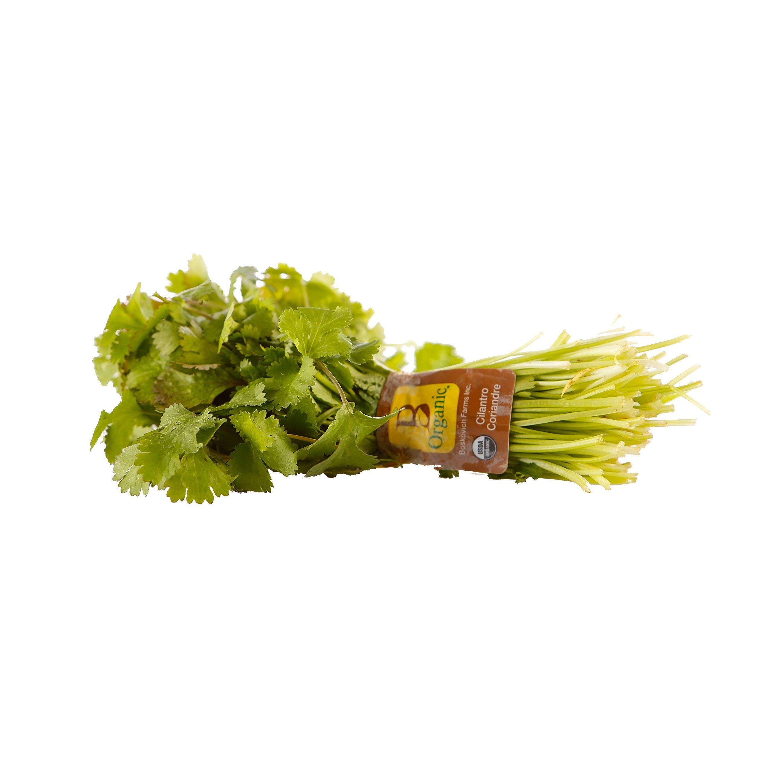 Cilantro Kuwait | Buy Online | Whizz Others