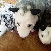 Amazon.com: Wild Republic Opossum Plush, Stuffed Animal, Plush Toy ...