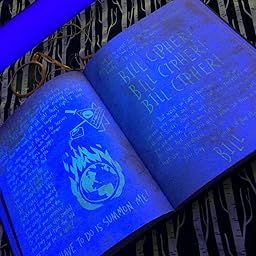 Gravity Falls: Journal 3 Special Edition: Alex Hirsch, Rob Renzetti, Andy Gonsalves, Stephanie ...