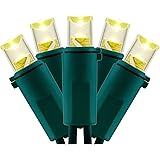 Warm White LED Christmas Lights with Green Wire, 66 Feet 200 Count UL ...