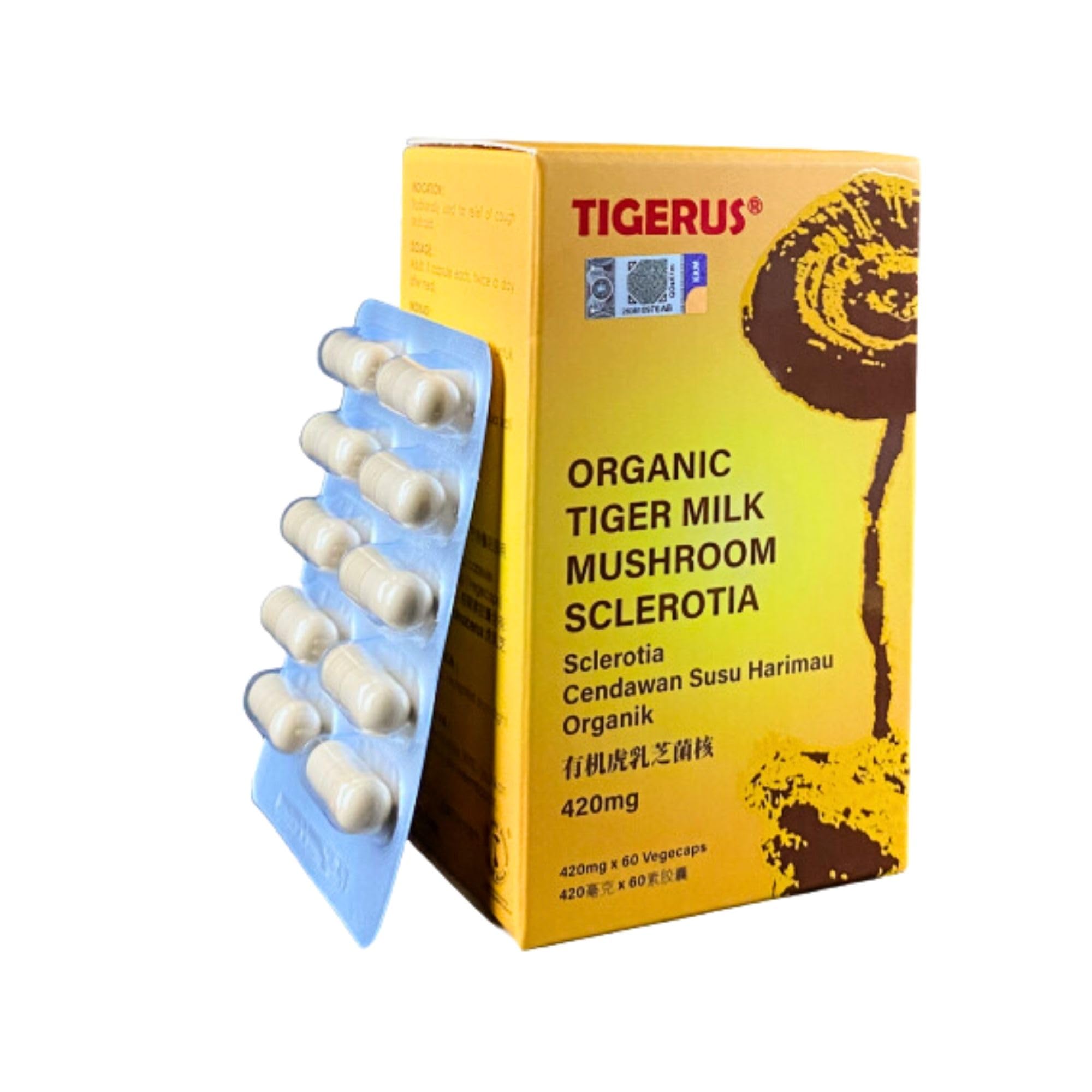 Mua TIGERUS Tiger Milk Mushroom (LiGNO TM02® Lignosus rhinocerus ...