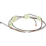 Amazon.com: Frigidaire 316580615 Spark Ignition Switch Unit : Appliances
