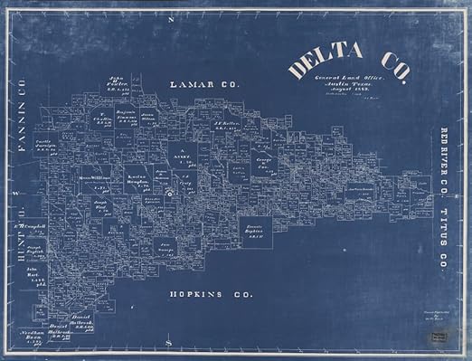 Amazon.com: INFINITE PHOTOGRAPHS Vintage 1889 Map of Delta Co. Delta ...