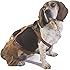 Amazon.com : Anit Accessories Lederhosen Dog Costume, 8-Inch : Pet ...