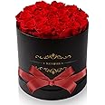 Handmade Preserved Roses in a Box, Long Lasting Red Roses, Preserved ...