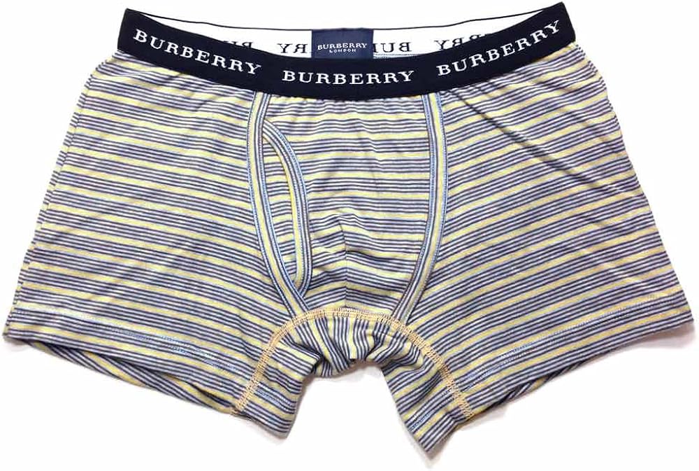 BURBERRY Boxer Brief Striped Short Blue Yellow B-246 Men's Underwear M ...