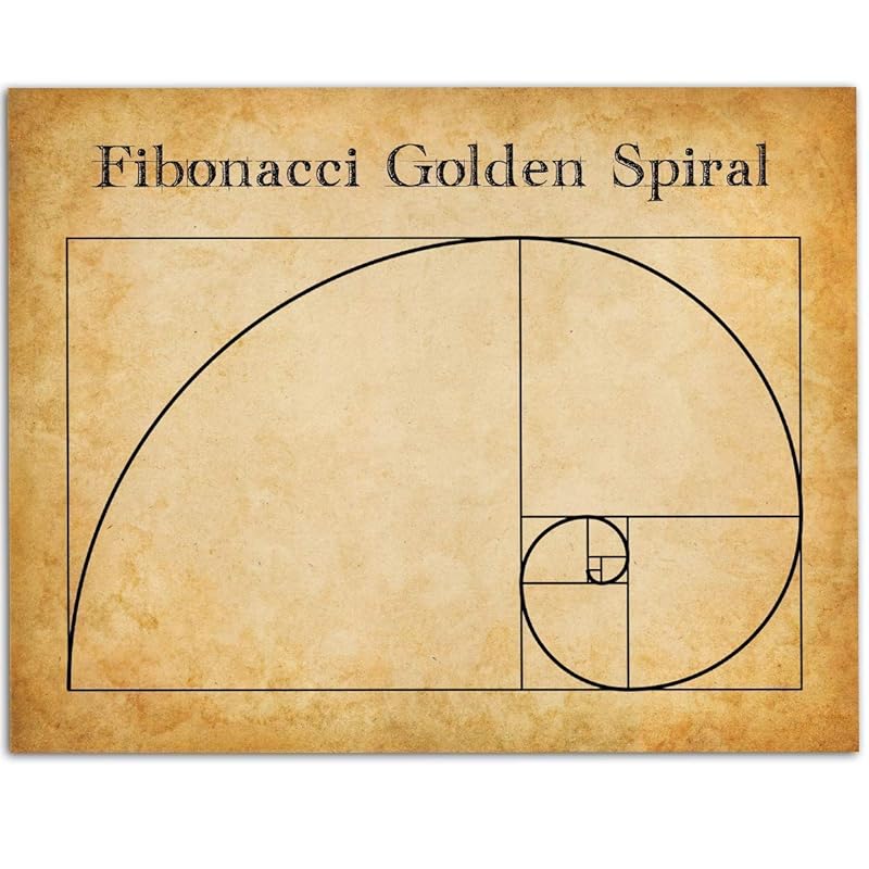 Amazon.com: Math Art Print Fibonacci Spiral - 11x14 Unframed Art Print ...