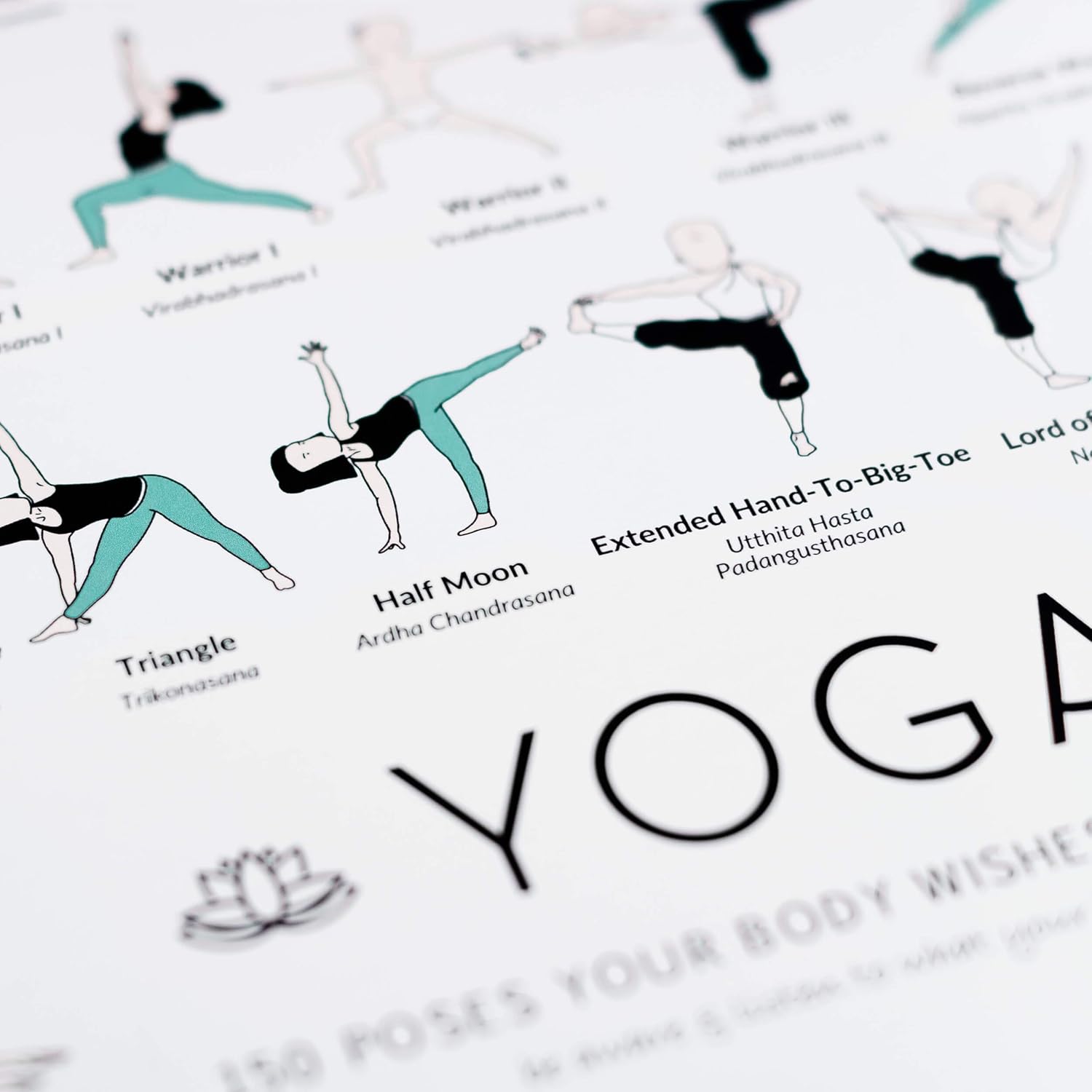 Follygraph Yoga poster – 150 Poses Your Body Wishes to Practice – BigaMart