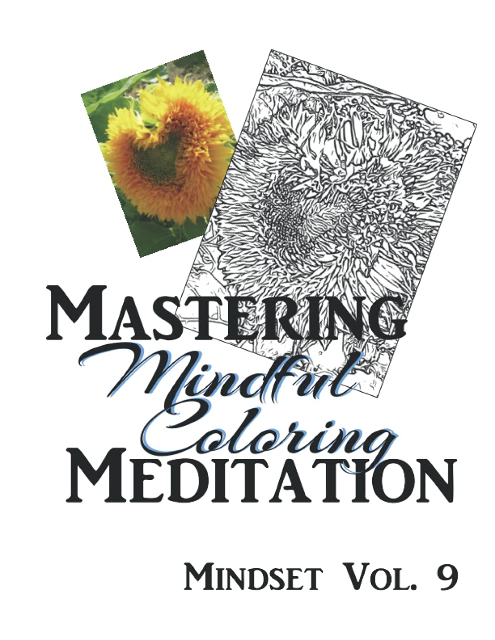 Mua Mastering Mindful Coloring Meditation: Mindset Vol. 9: Coloring ...