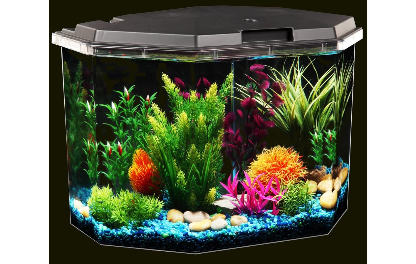 Mua Koller Products Fish Tank 6.5-Gallon Aquarium, LED Lighting, Full ...