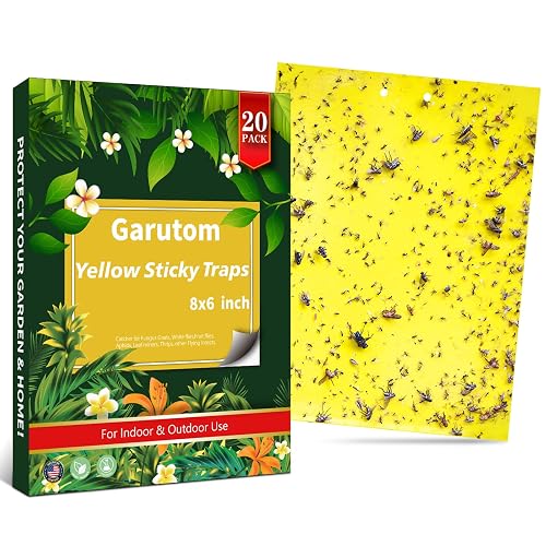 20-Pack Dual-Sided Yellow Sticky Traps for Flying Plant Insect Such as ...