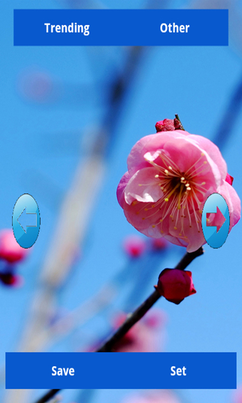 Spring Wallpapers:Amazon.com:Appstore for Android