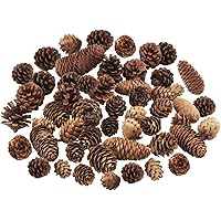 Amazon.com: TaoQ C 60 PCS Pine Cones Decorations, Natural Pine Cones ...