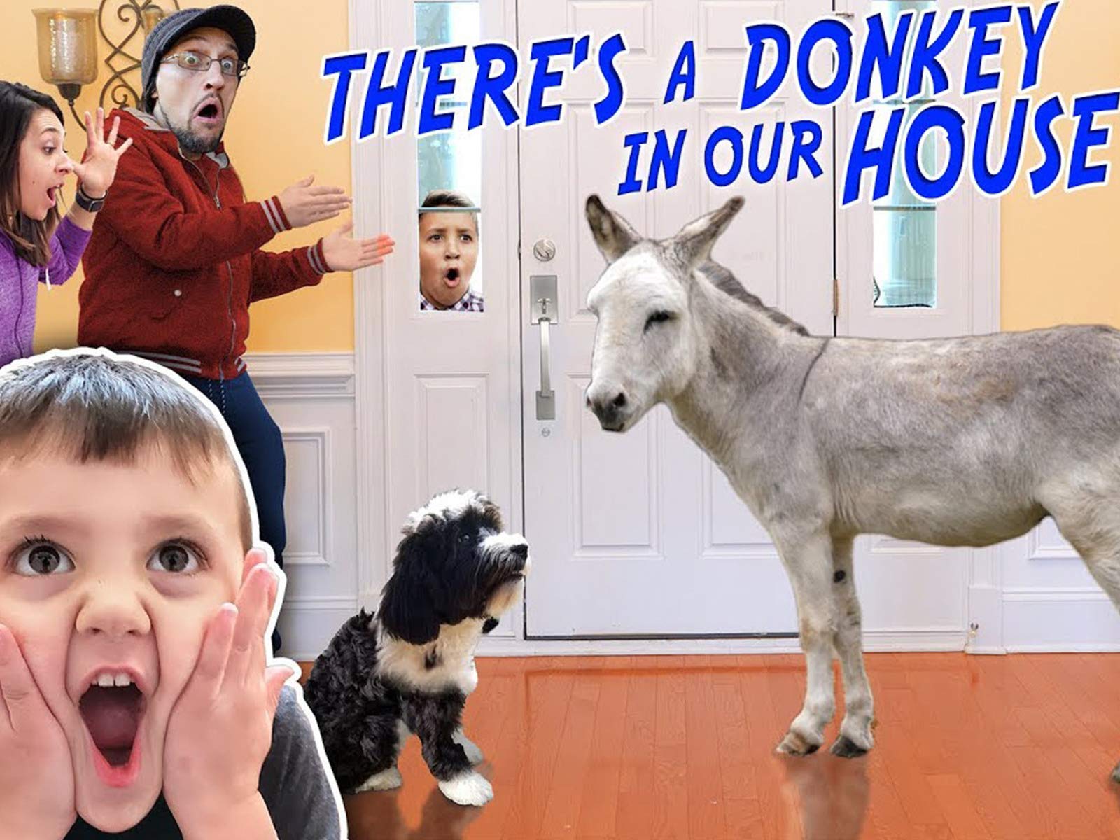 Watch FUNnel Vision: Vlogs | Prime Video