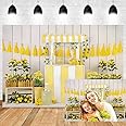 Amazon.com : DORCEV 10x7ft Yellow Lemon Theme Backdrop Cool Summer Girl ...