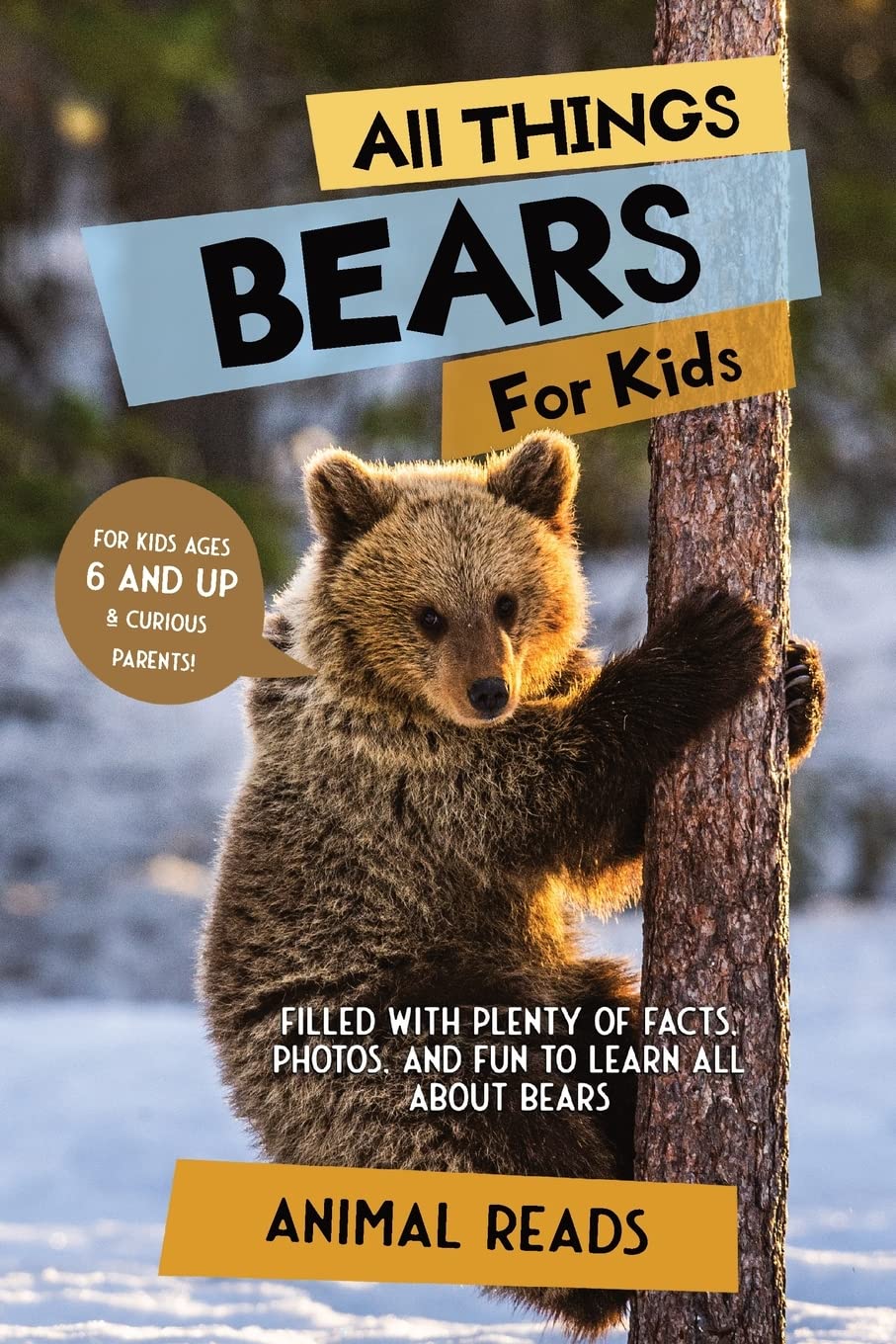 Mua All Things Bears For Kids: Filled With Plenty of Facts, Photos, and ...