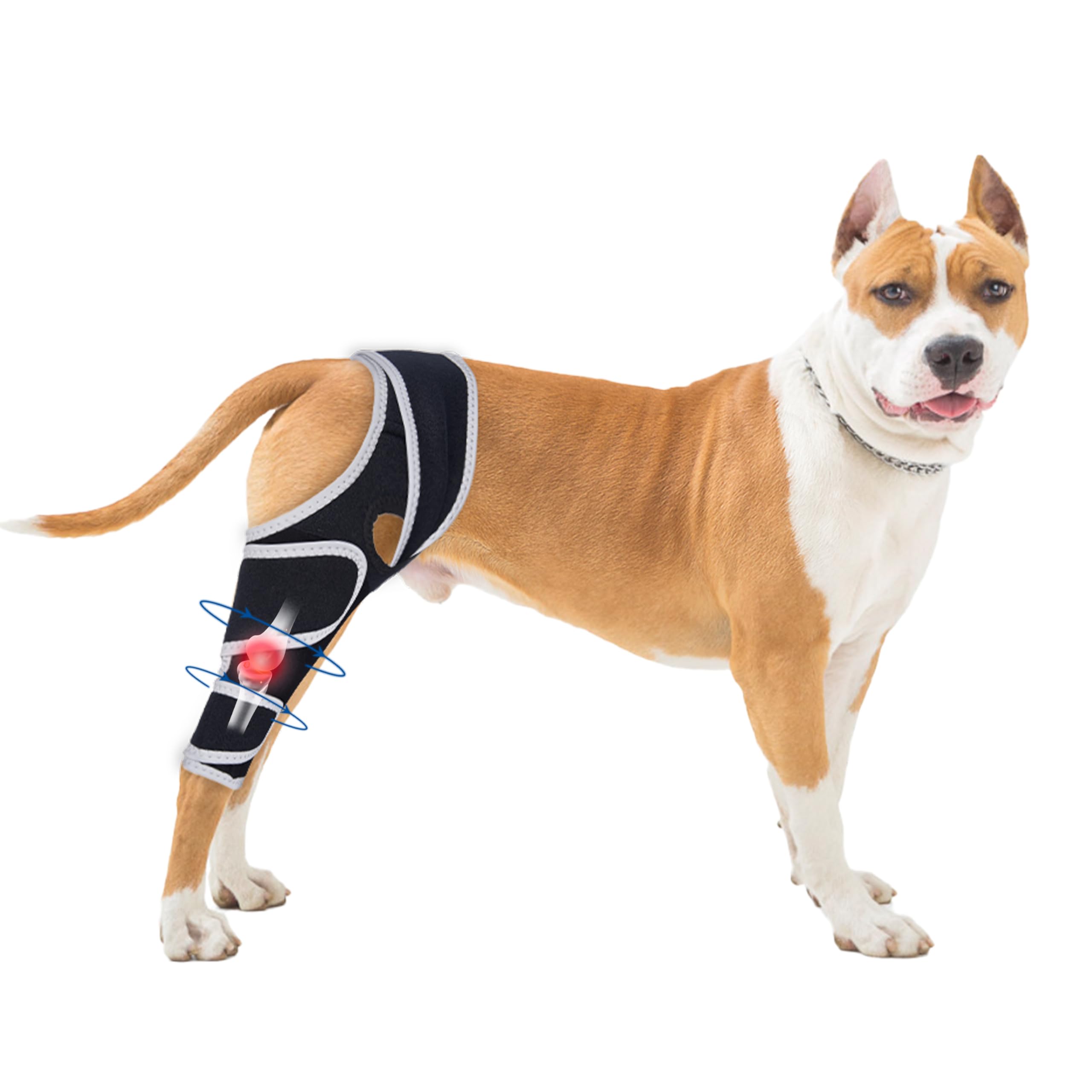 Dog Knee Brace for Torn Acl Hind Leg - Relieves Ligament Injury and ...