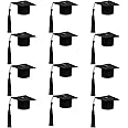 Amazon.com: VeeKay Mini Graduation Caps - 12pcs Black Felt Graduation ...