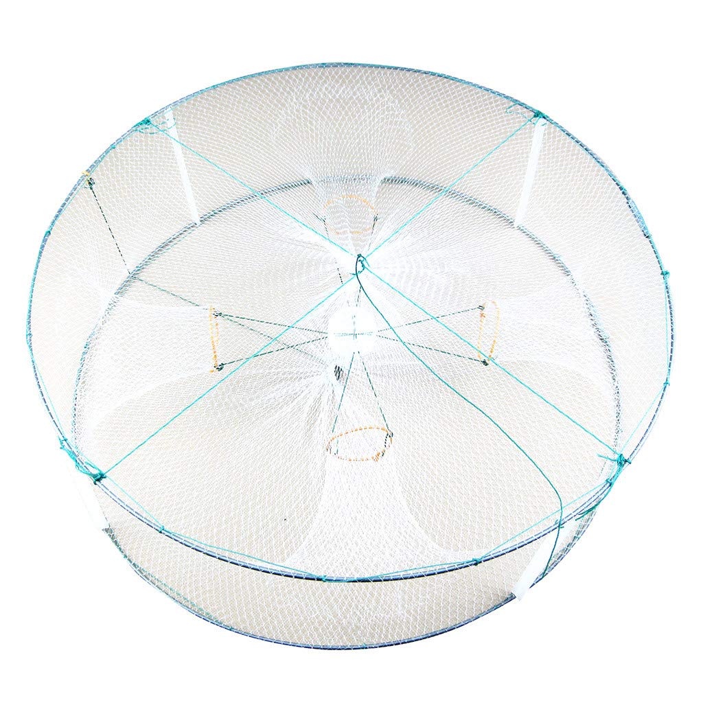 Quaanti Fish Net 4 5 Holes Foldable Fish Shrimp Basket | Desertcart INDIA