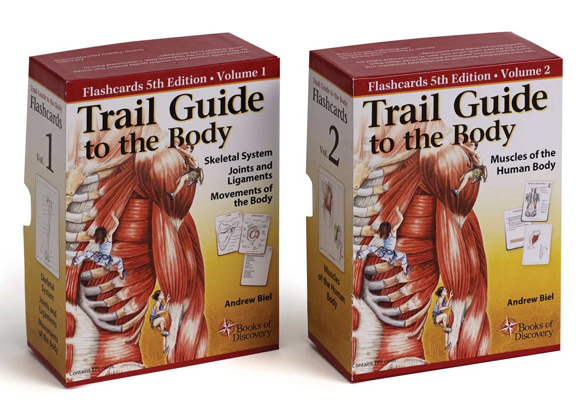 Trail Guide To The Body Flash Card Set - Skeletal System and Muscles of ...