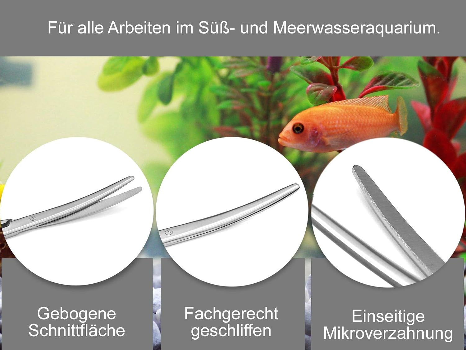 Aquarium Terrarium Scissors Plant Scissors 30 cm Curved Micro Teeth ...