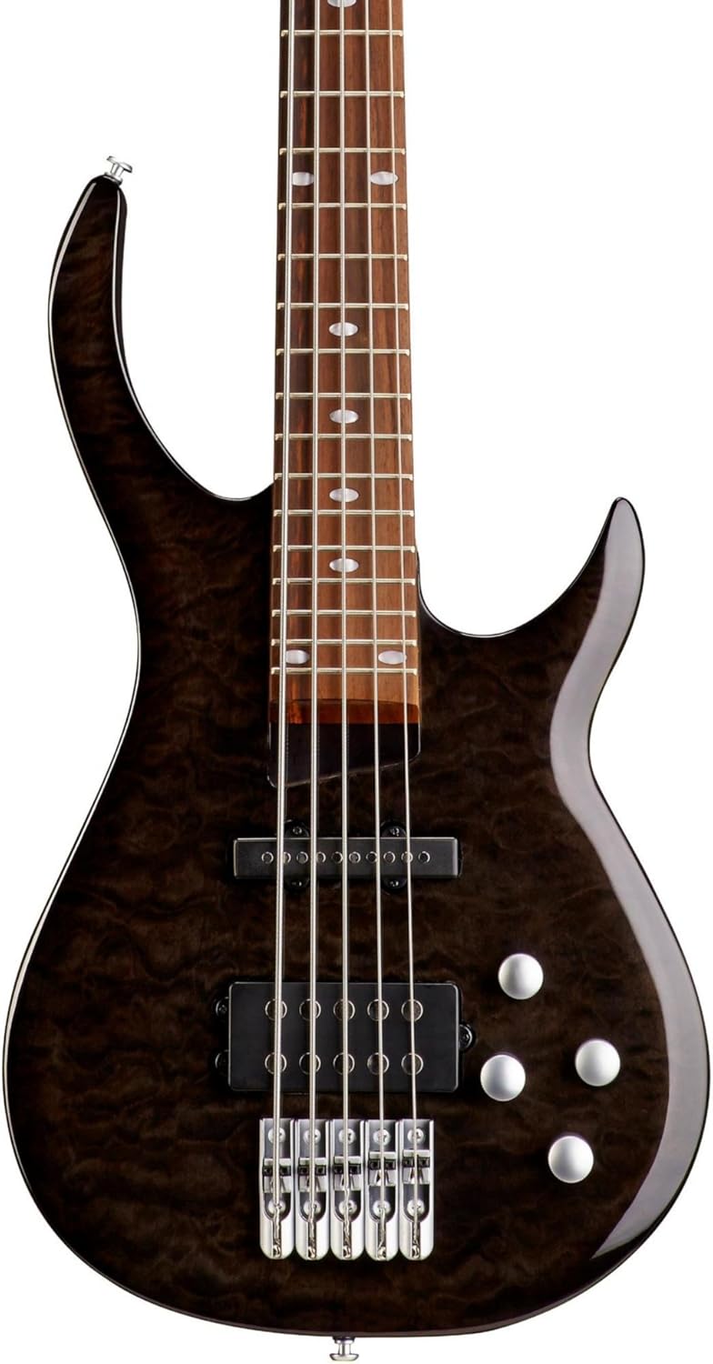 Amazon.com: Rogue LX405 Series III Pro 5-String Electric Bass Guitar ...