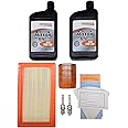 Amazon.com : Generac Maintenance Kit 990 14-17KW 5W30 SN EVL Part ...