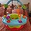 Amazon.com : Summer Infant 3-Stage SuperSeat Deluxe Giggles Island: Positioner, Activity Seat ...