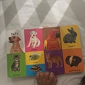 First 100 Words by Priddy, Roger [Priddy Books, 2005] Board book [Board ...