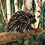 Amazon.com: Folkmanis Porcupine Hand Puppet: Toys & Games