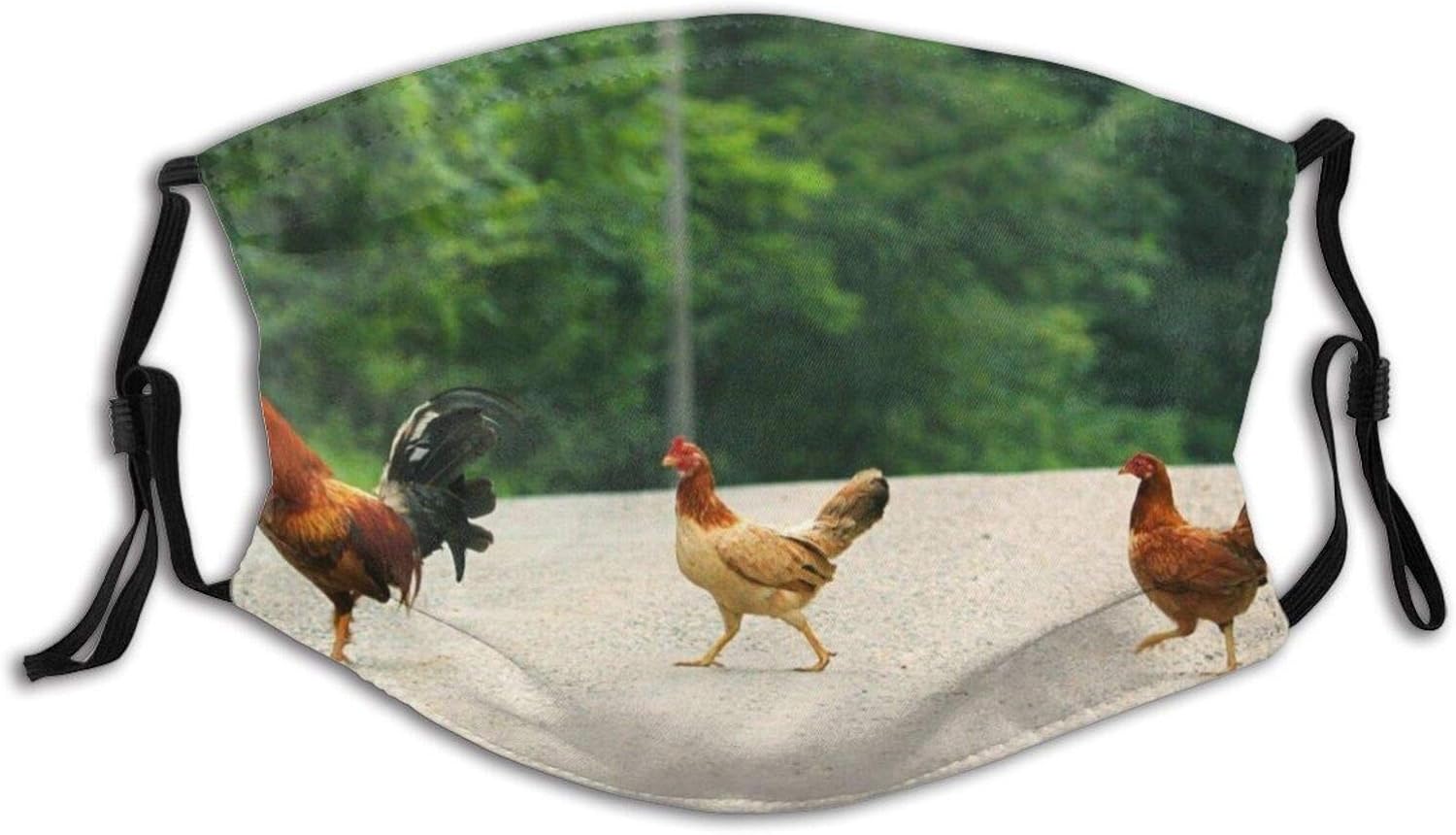 Amazon.com: Cloth Face Protective Realistic Chicken Mask w PM 2.5 ...