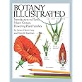 Amazon.com: Botany Illustrated: Introduction to Plants, Major Groups ...
