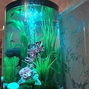 Finest-Filters 5 x Compatible Biorb Filter Set/Service Kit: Amazon.co ...