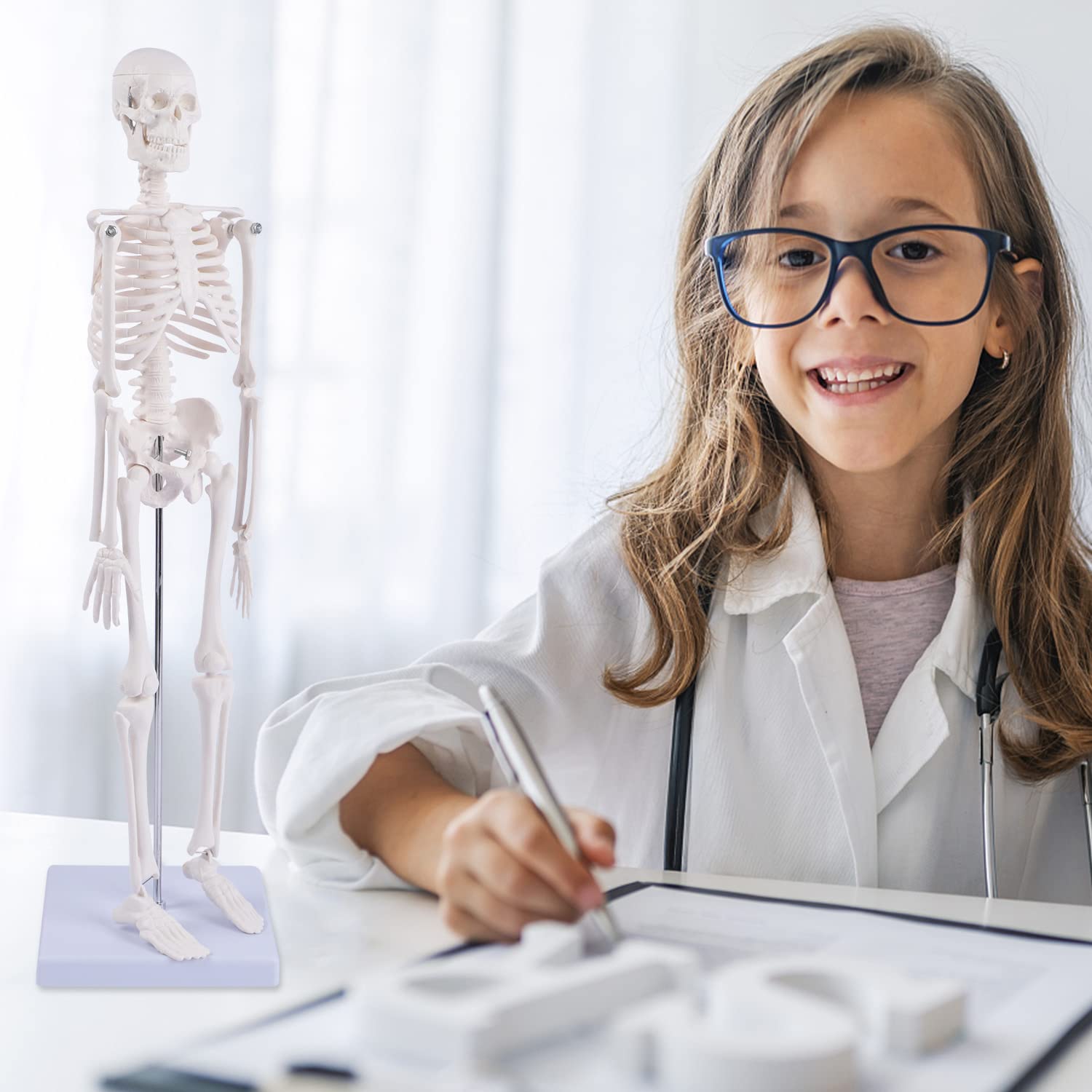 Mua NLShan Human Skeleton Model for Anatomy: Scientific Model with ...