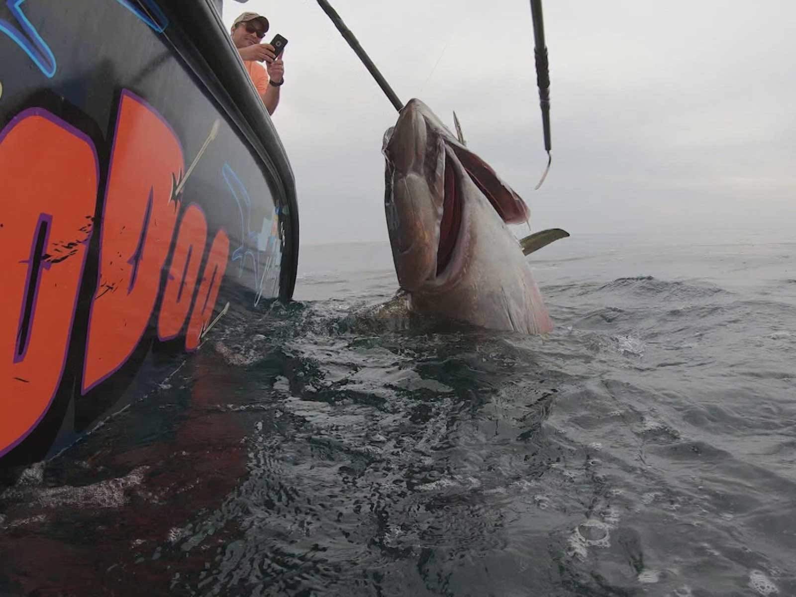 Watch VooDoo Crew - Season 1 | Prime Video