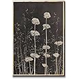 Amazon.com: Black And White Dandelion Canvas Wall Art Vintage Dandelion ...