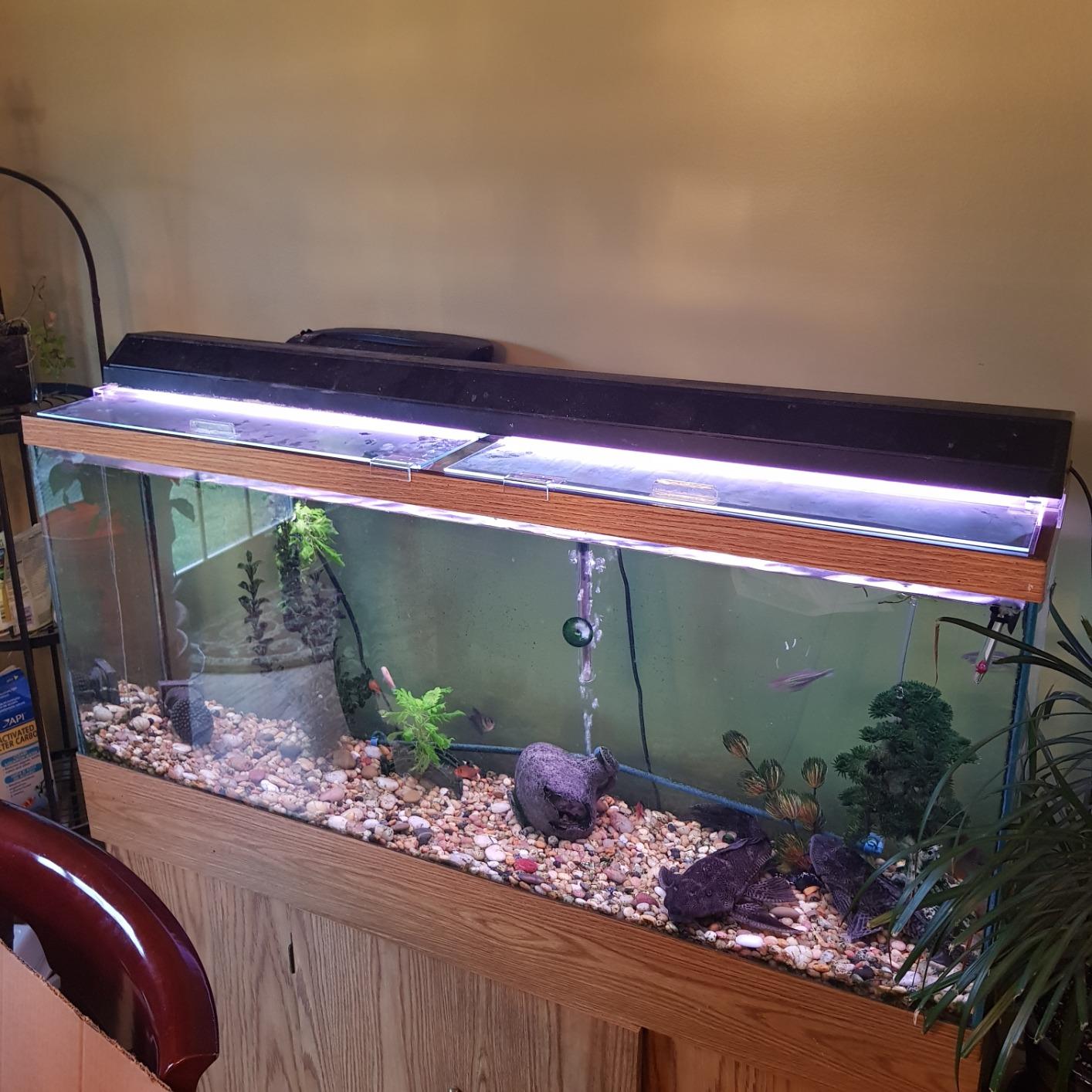 $8/mo - Finance Aquarium Glass Canopies for Aquariums with & Without ...