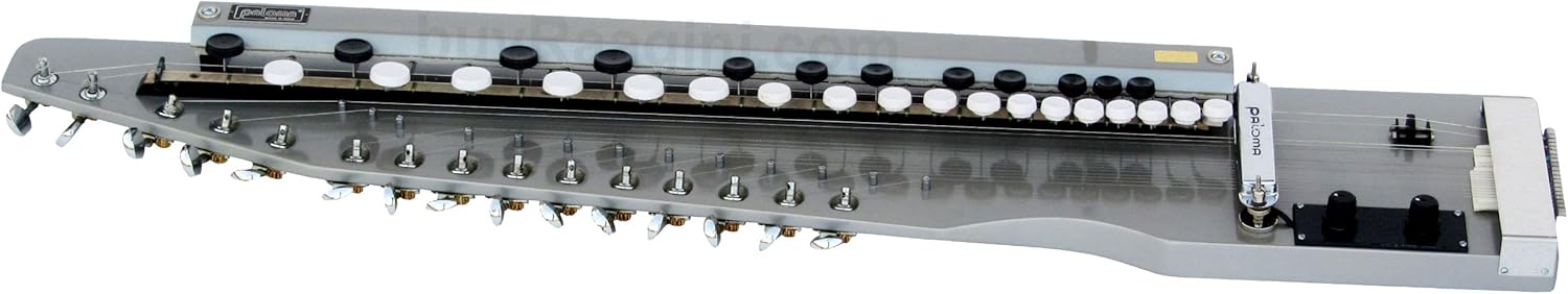 Amazon.com: Paloma Shahi Baaja Silver Color Electronic Banjo (PDI-BBF ...